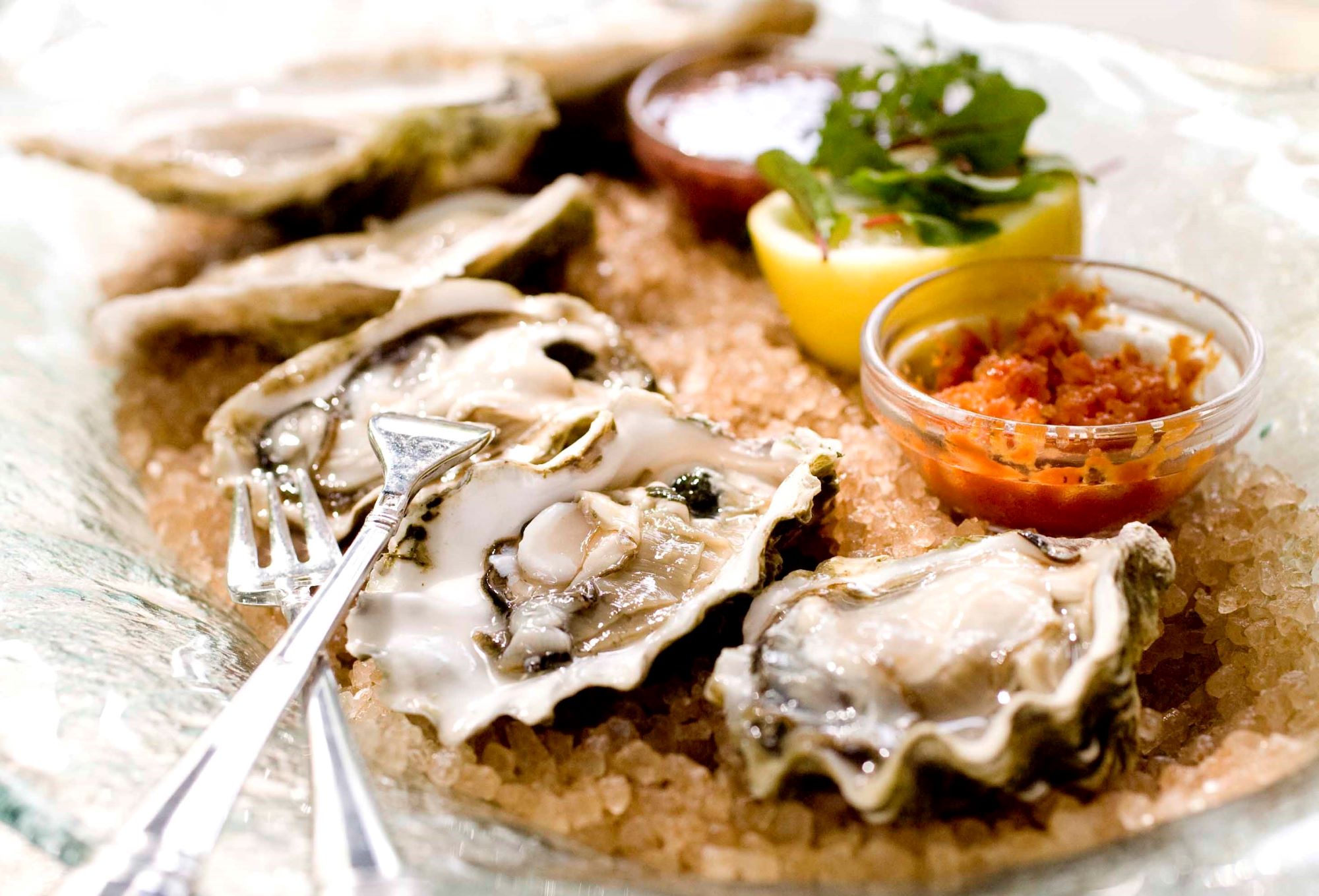 The Best Restaurants in Easton, Maryland - Where to Eat, Drink ...