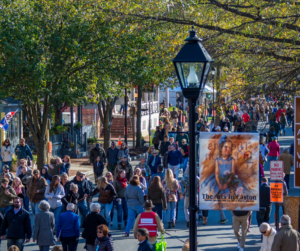 Waterfowl Festival: 'Flying Into Our 54th Year!' - Talbot County, Maryland