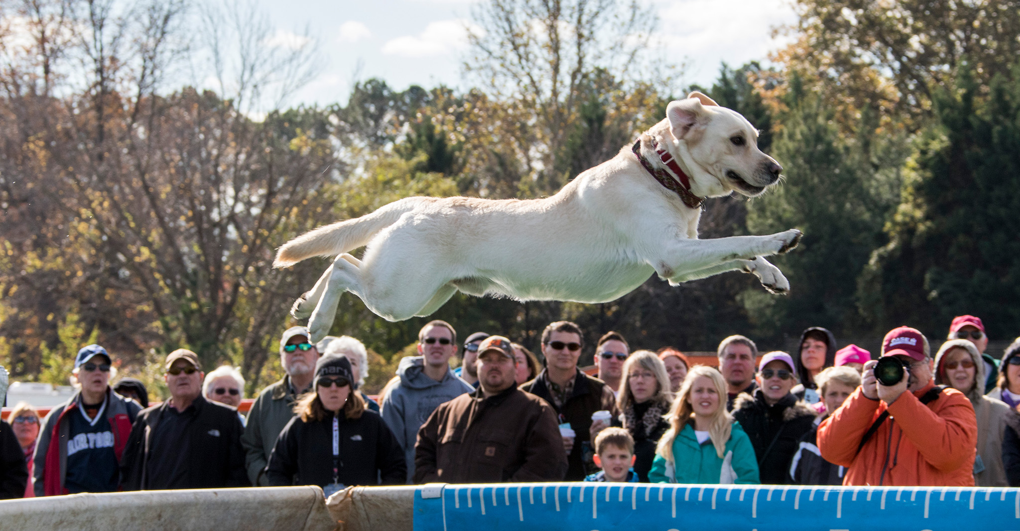 Homepage - Talbot County, Maryland